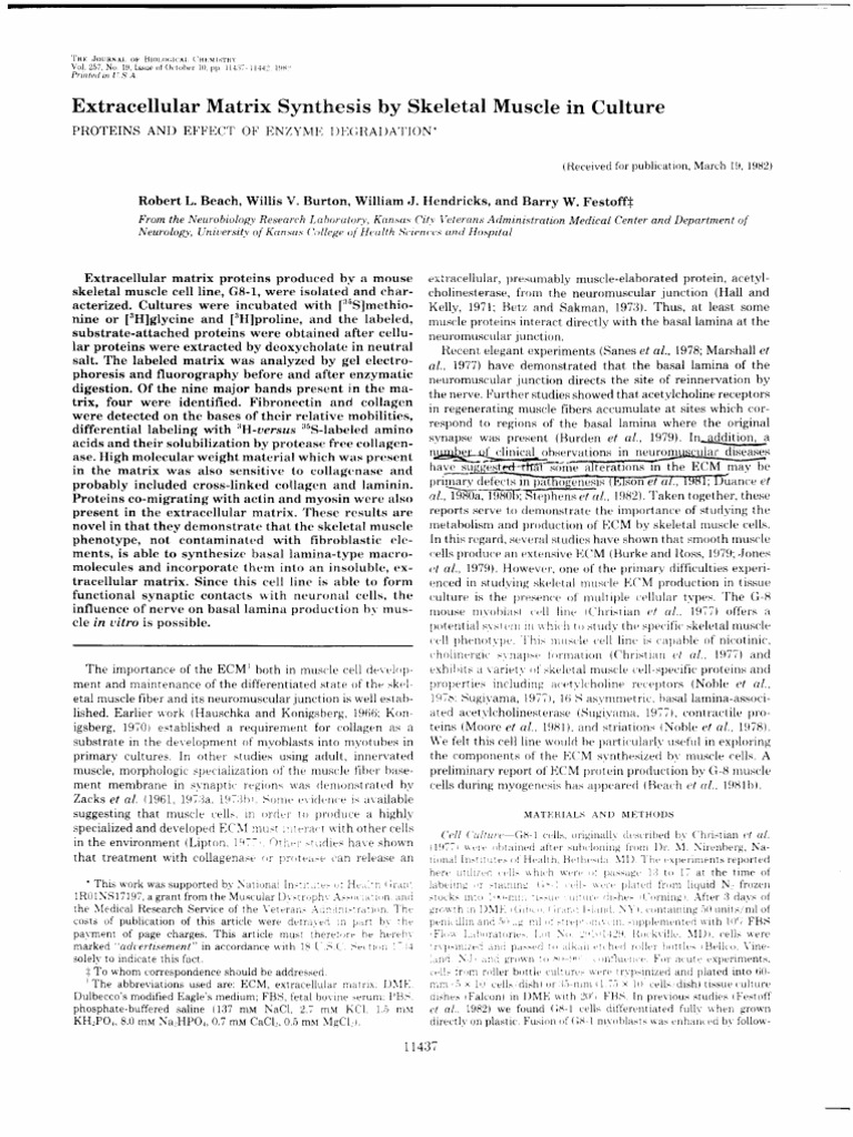 Extracellular Matrix Synthesis by Skeletal Muscle in Culture | PDF ...