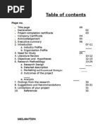 Britts 9 Core Steps - BWW Britt System 9 Steps | PDF | Multi Level ...