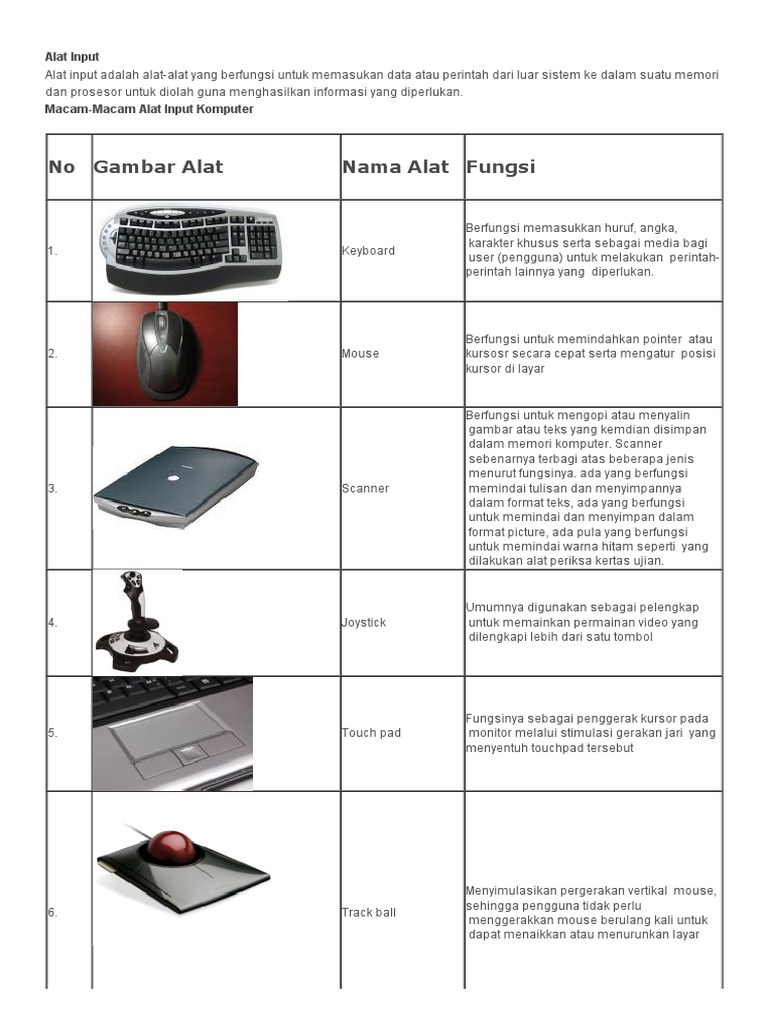 Alat Input, Output, Dan Proses Komputer - Sweetestplace PDF | PDF ...
