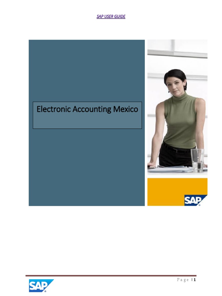 User Manual V1 | PDF | Character Encoding | Debits And Credits