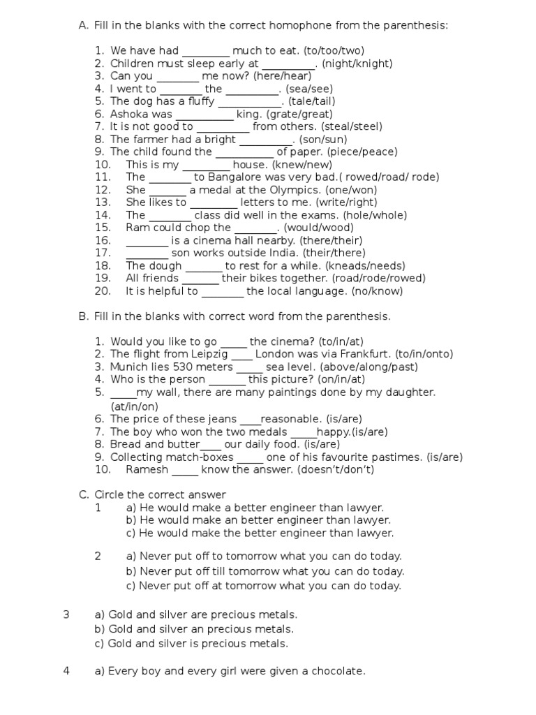 Homophone and Grammar Exercises | PDF