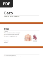 Actualizacion de Protocolos de La Cap | PDF