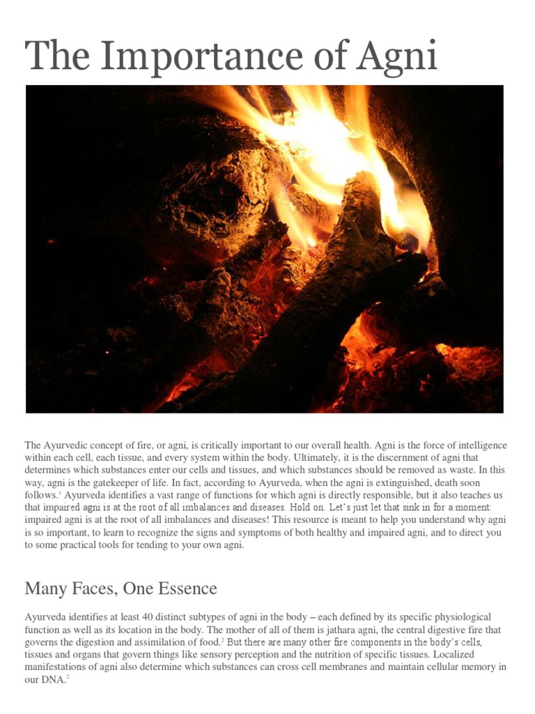 The Importance of Agni | PDF | Ayurveda | Taste