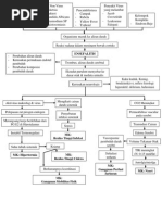 Pathway Encephalitis | PDF