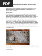 Brecha Freatomagmatica | PDF | Roca (geología) | Falla (geología)
