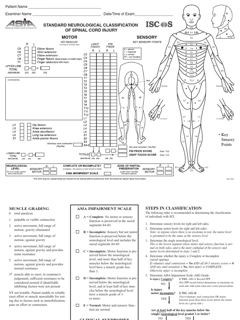 Spinal Cord Injury Assessment Chart (ASIA) | PDF | Spinal Cord Injury ...