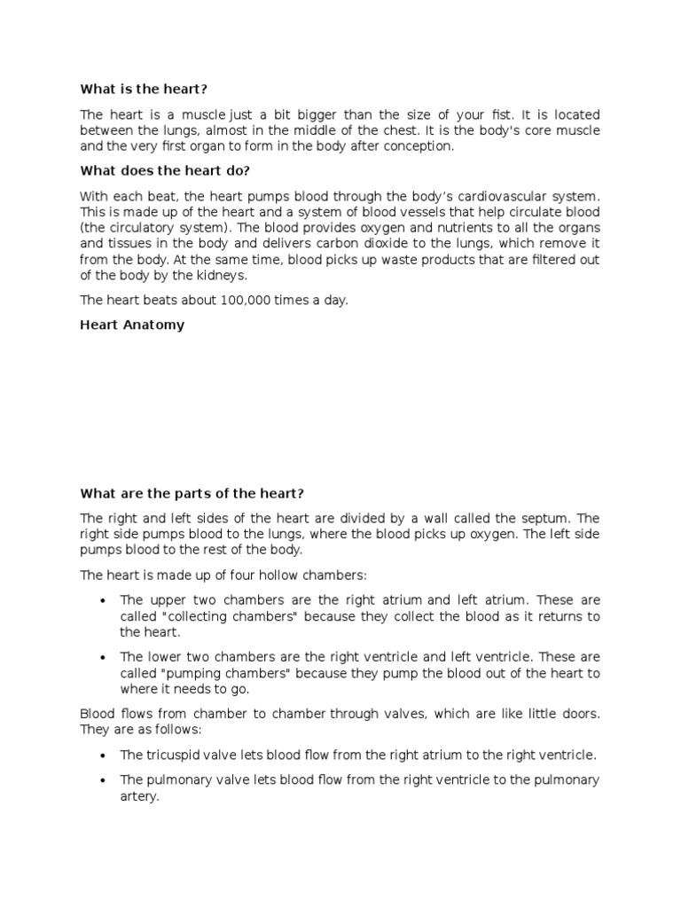 Overview of The Heart | Download Free PDF | Heart Valve | Heart