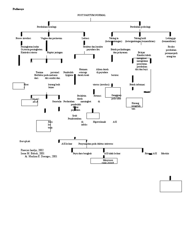 WOC Post Partum | PDF