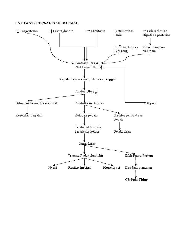 Pathways Persalinan Normal | PDF
