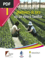 Proyecto-Señor Cabeza de Pasto | PDF