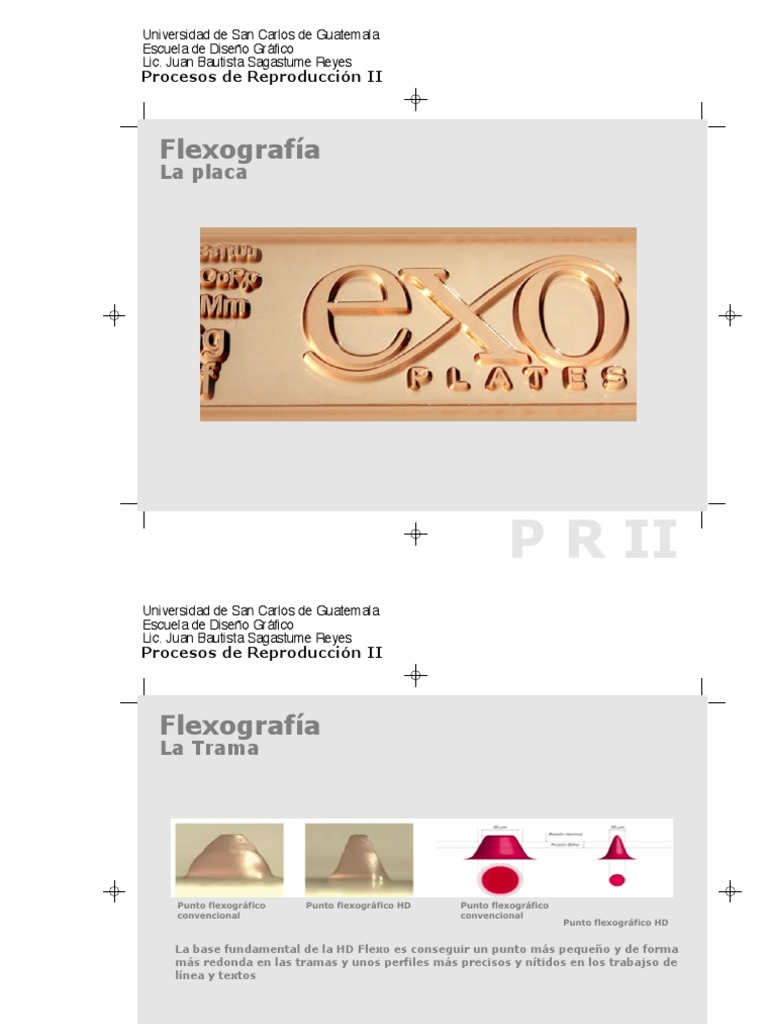 Flexografía Hd Pdf Procesos Industriales Diseño