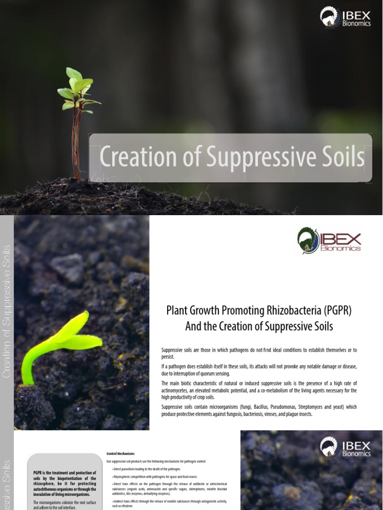Creation of Suppressive Soils Creation of Suppressive Soils | PDF ...