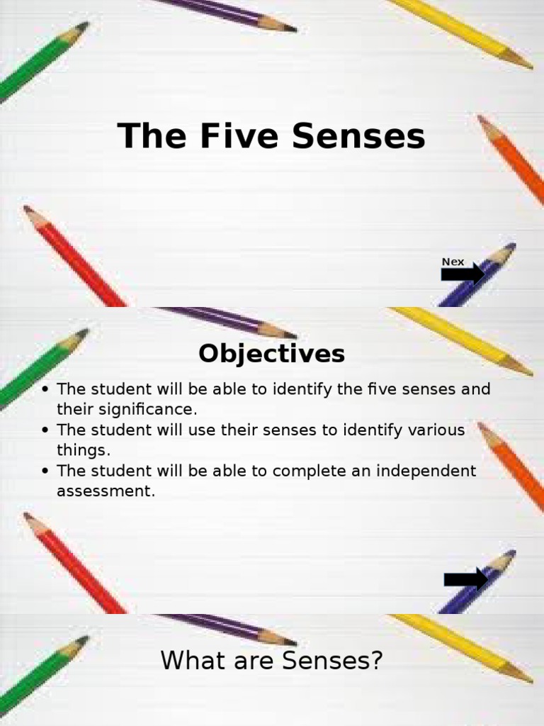 The Five Senses | PDF | Science & Mathematics