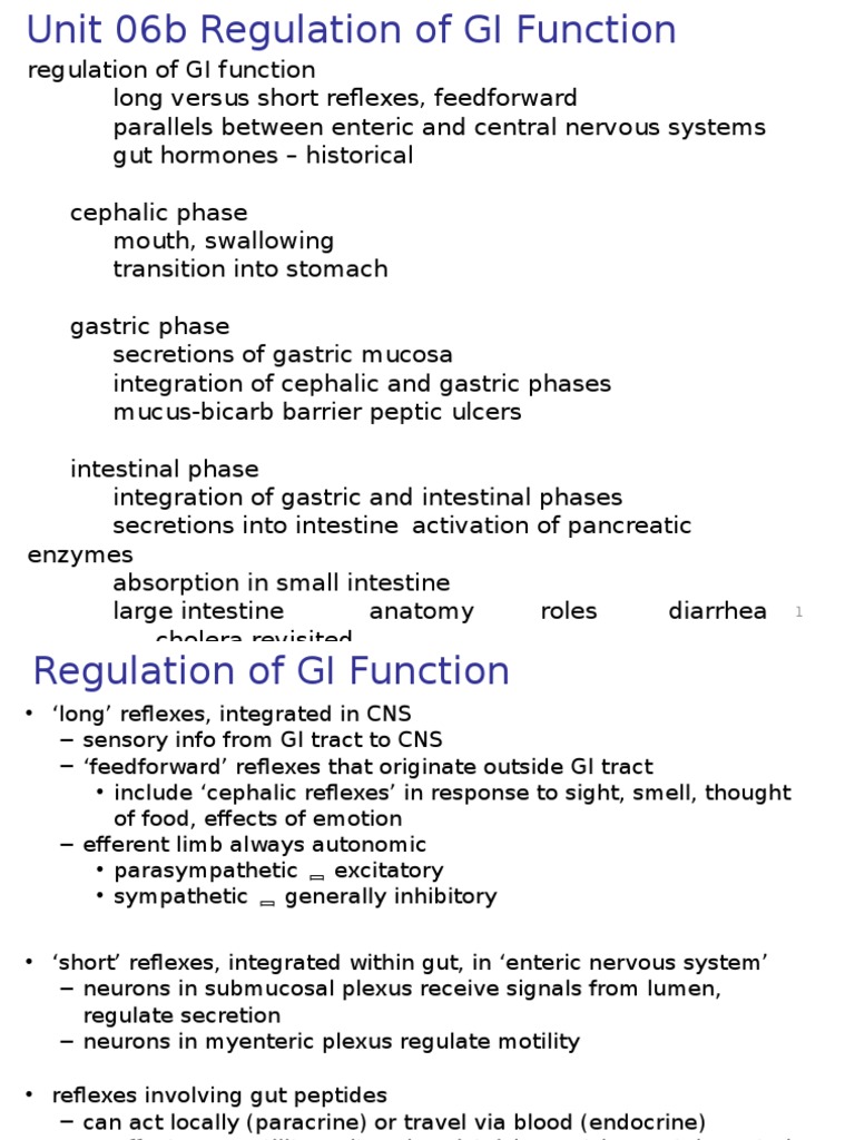 Regulation of GI Function | PDF | Stomach | Digestion