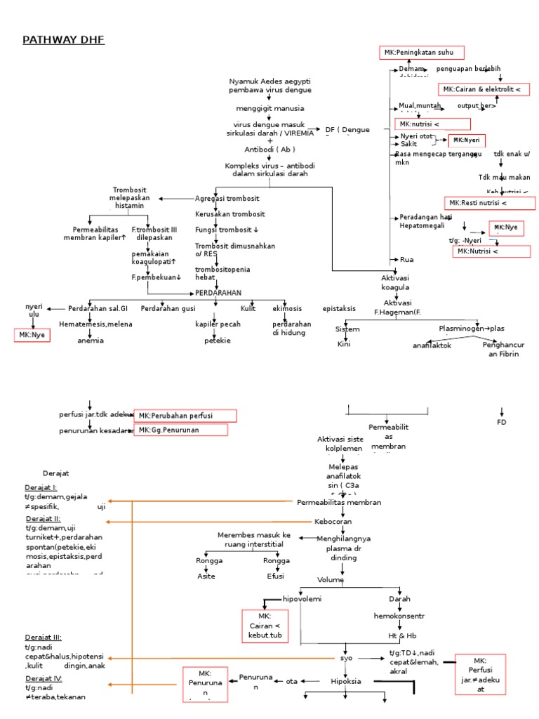 Pathway of Dengue Hemorrhagic Fever | PDF
