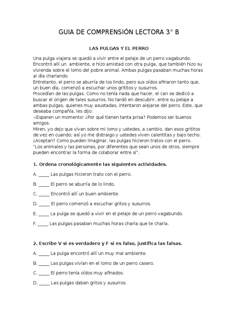 Guia de Comprensión Lectora 3° Basico | PDF