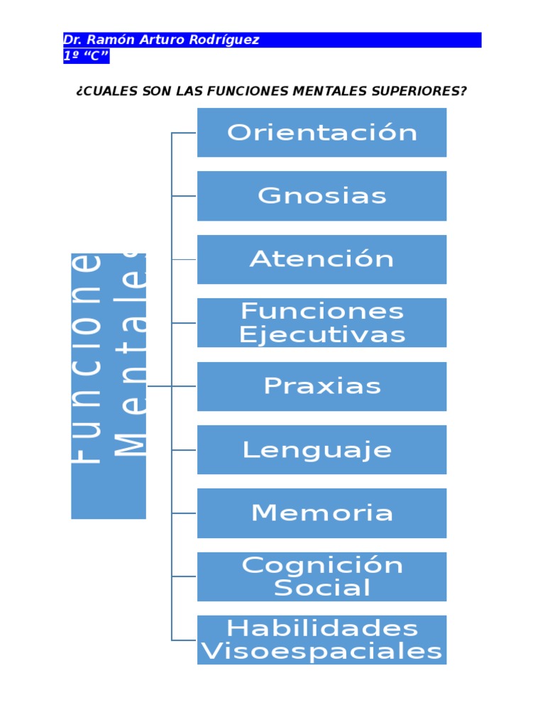 Cuales Son Las Funciones Mentales Superiores | Memoria | Atención