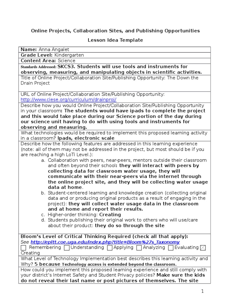 Online Project Template | PDF