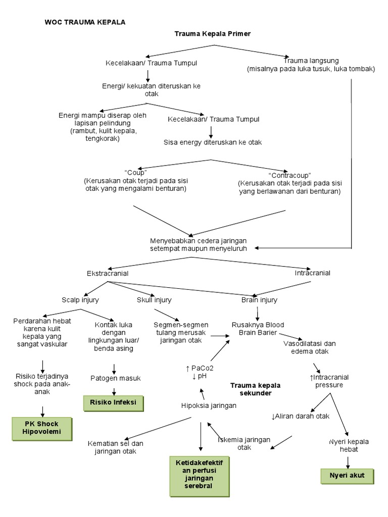 Pathway Trauma Kepala - Perumperindo.co.id