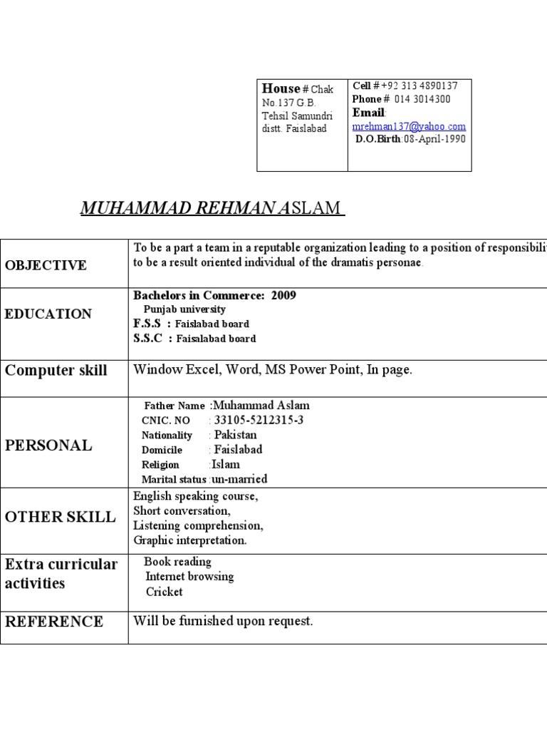 Muhammad Rehman CV Summary | PDF