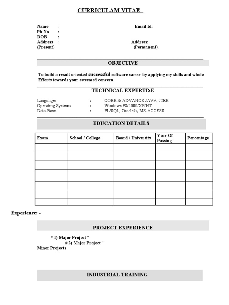 Software Developer CV Template | PDF