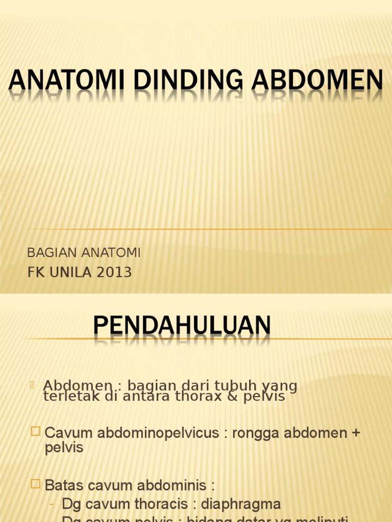 Anatomi - Dinding Abdomen | PDF