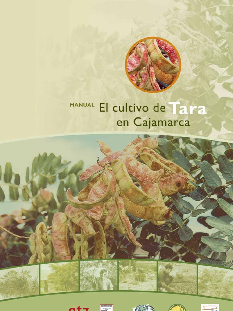 Manual del Cultivo de la tara | Suelo | Los bosques