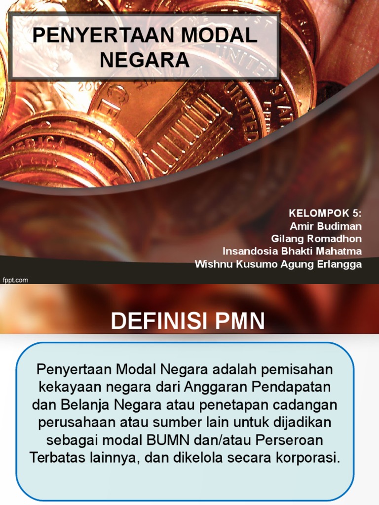 Penyertaan Modal Negara | PDF