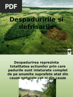 Defrisarea Padurilor | PDF