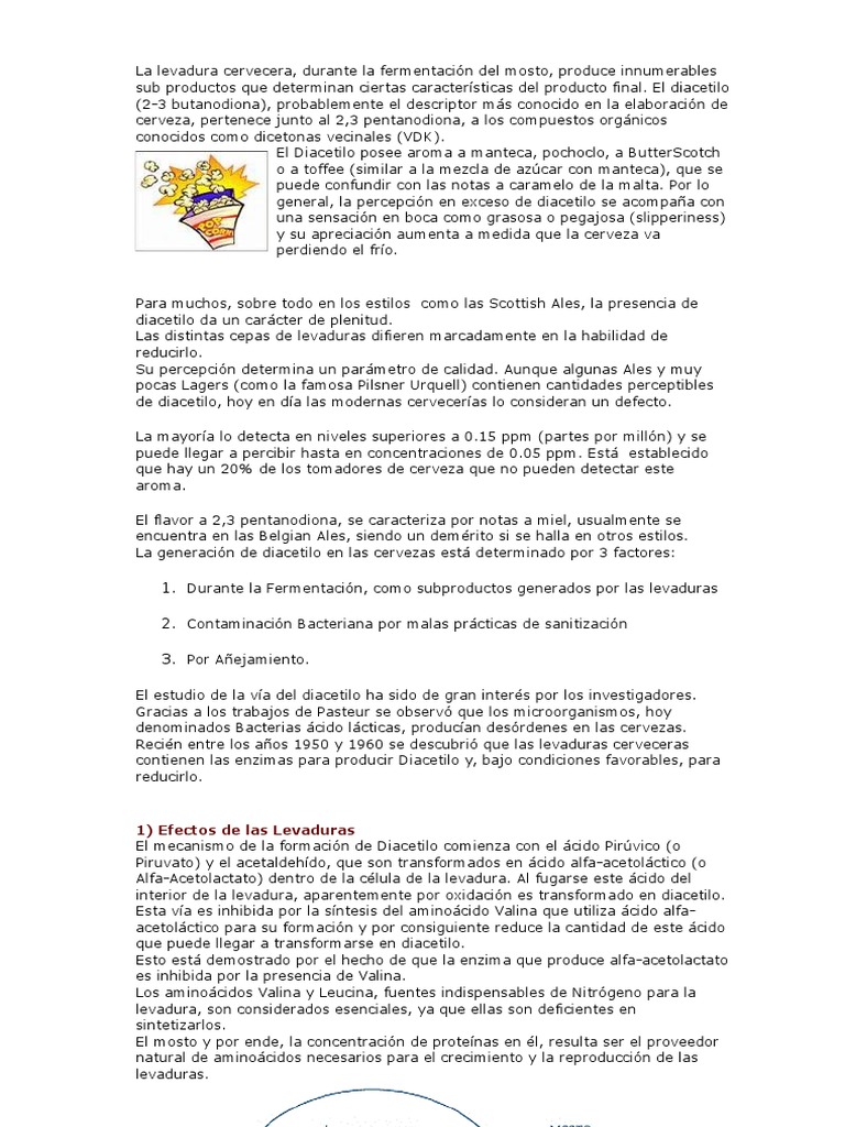 DIACETILO Su Producción y Reducción | PDF | Cerveza | Levadura