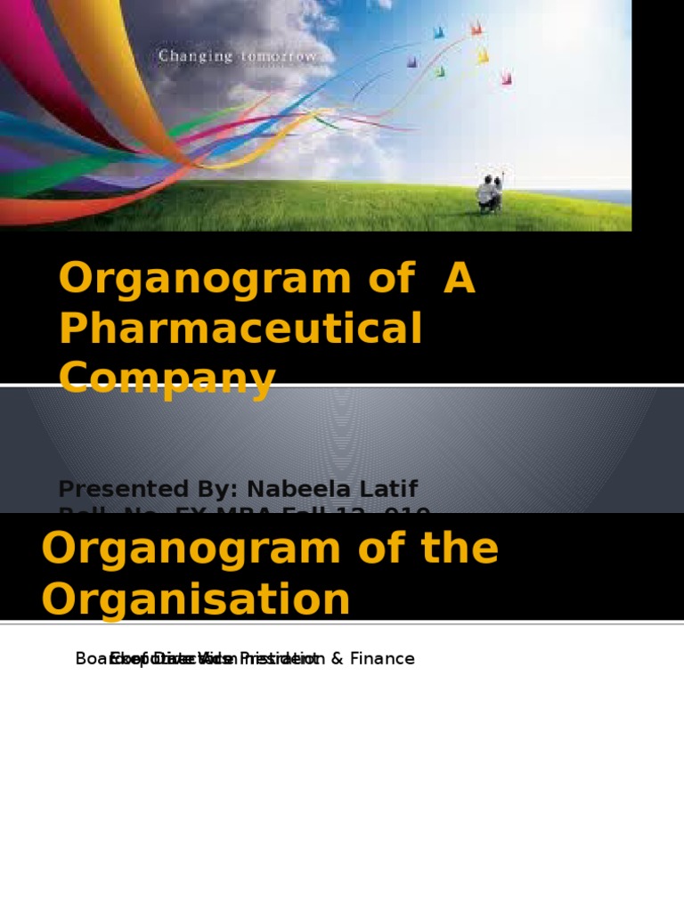 Pharmaceutical Company Organogram Overview | PDF | Clinical Trial ...