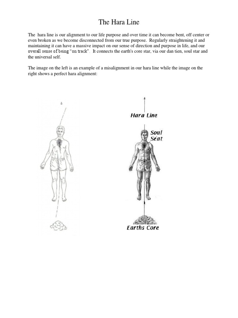 Hara Line Exercise2 PDF | PDF