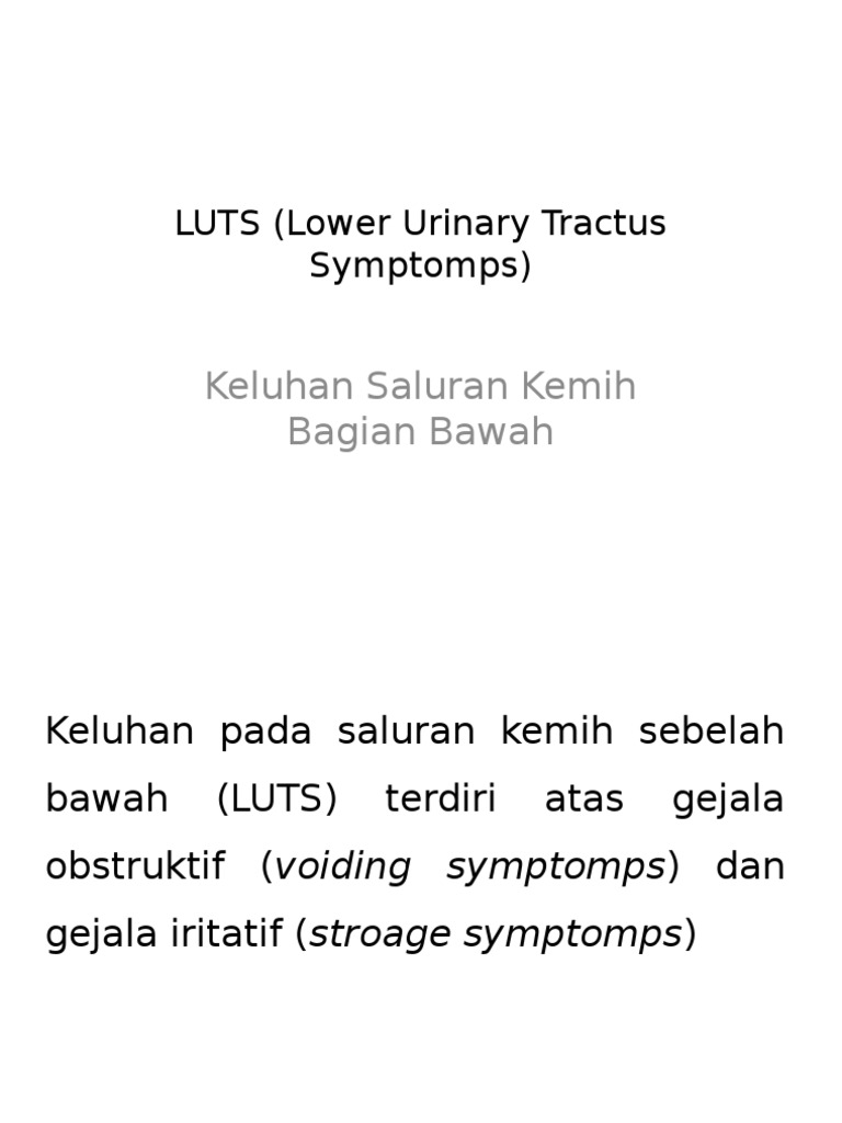 LUTS (Lower Urinary Tractus Symptomps) | PDF | Kesehatan Holistik