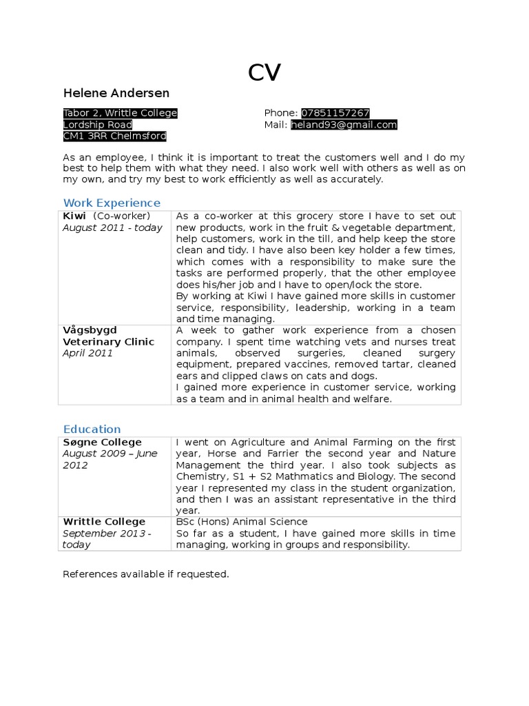 CV Iceland 2 1 | PDF