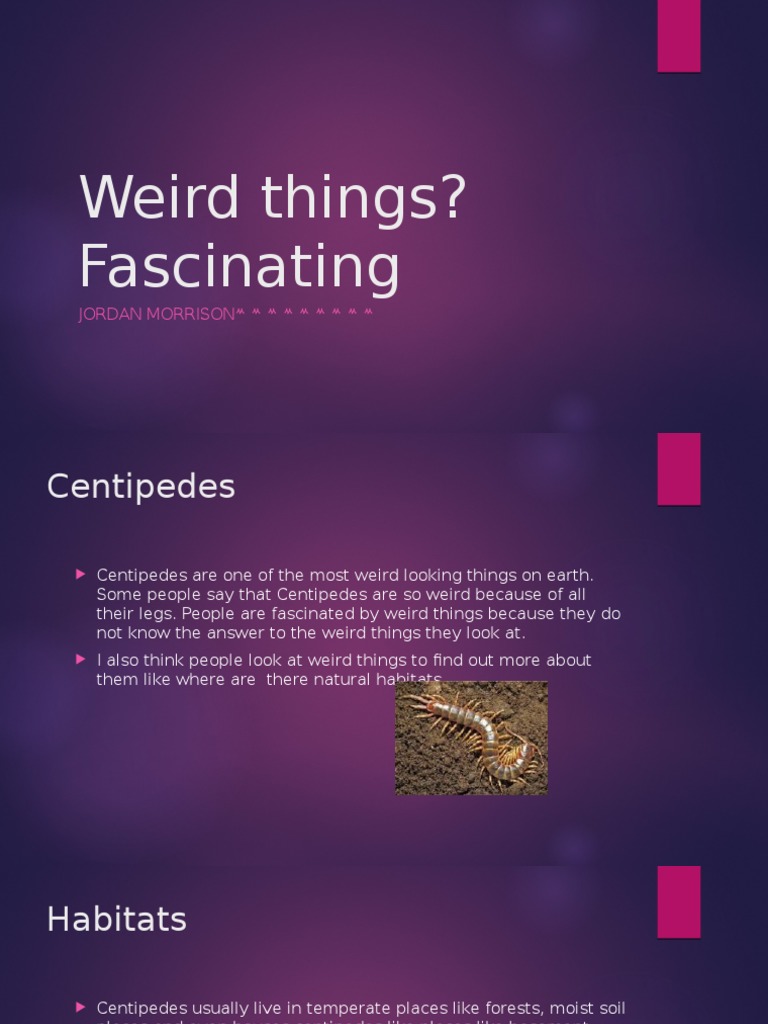 Fascination with Weird Creatures | PDF