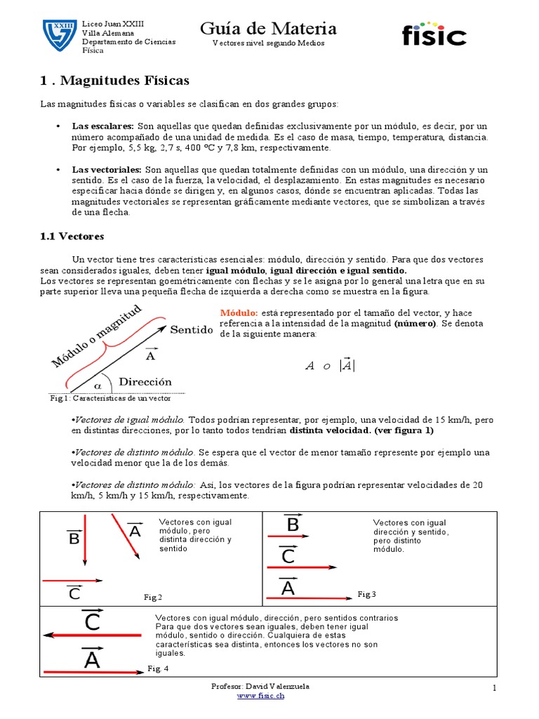 Guia De Vectores Pdf