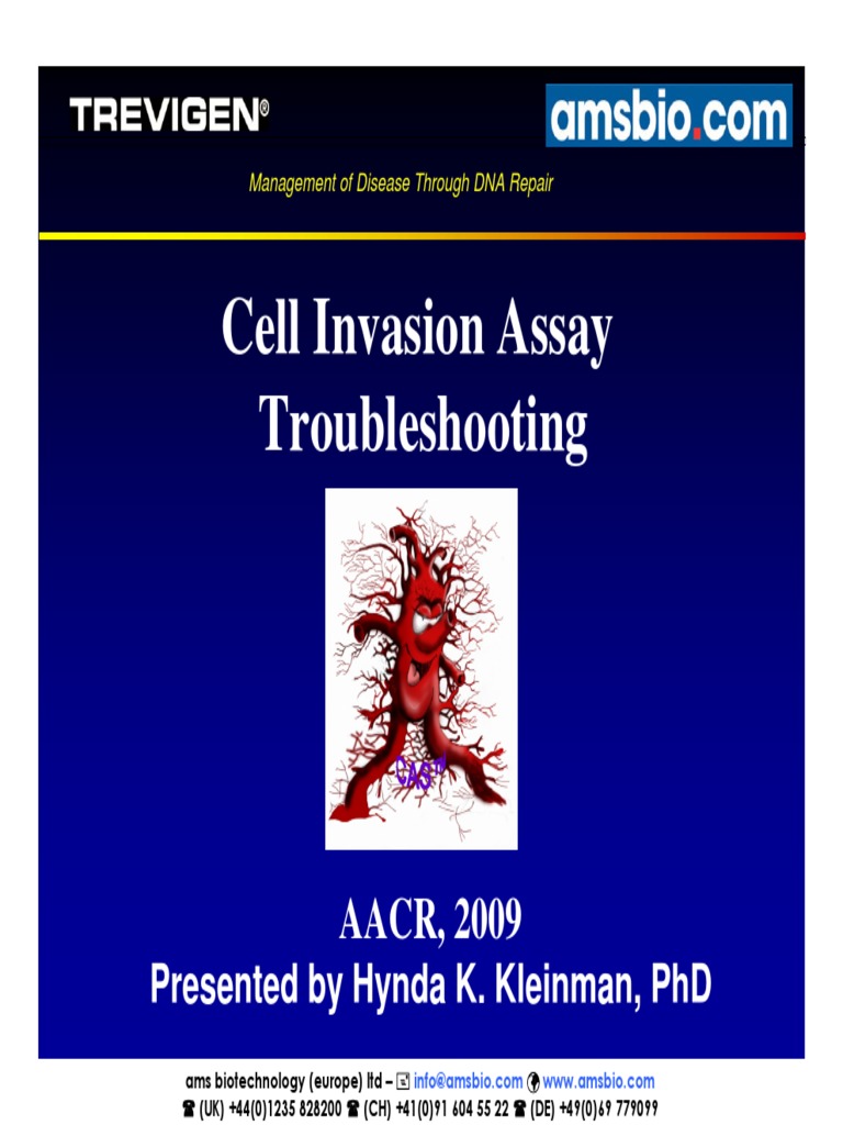 Cell Invasion Brochure | PDF | Metastasis | Angiogenesis