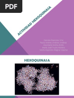 Regulación de Hexoquinasa y Glucoquinasa | PDF | Enzima | Glucólisis