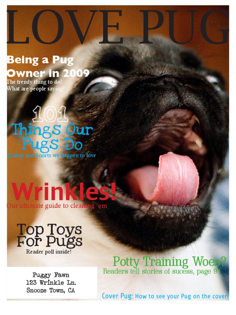 Pug Research by Bonnie Lynch | PDF | American Kennel Club | Dogs
