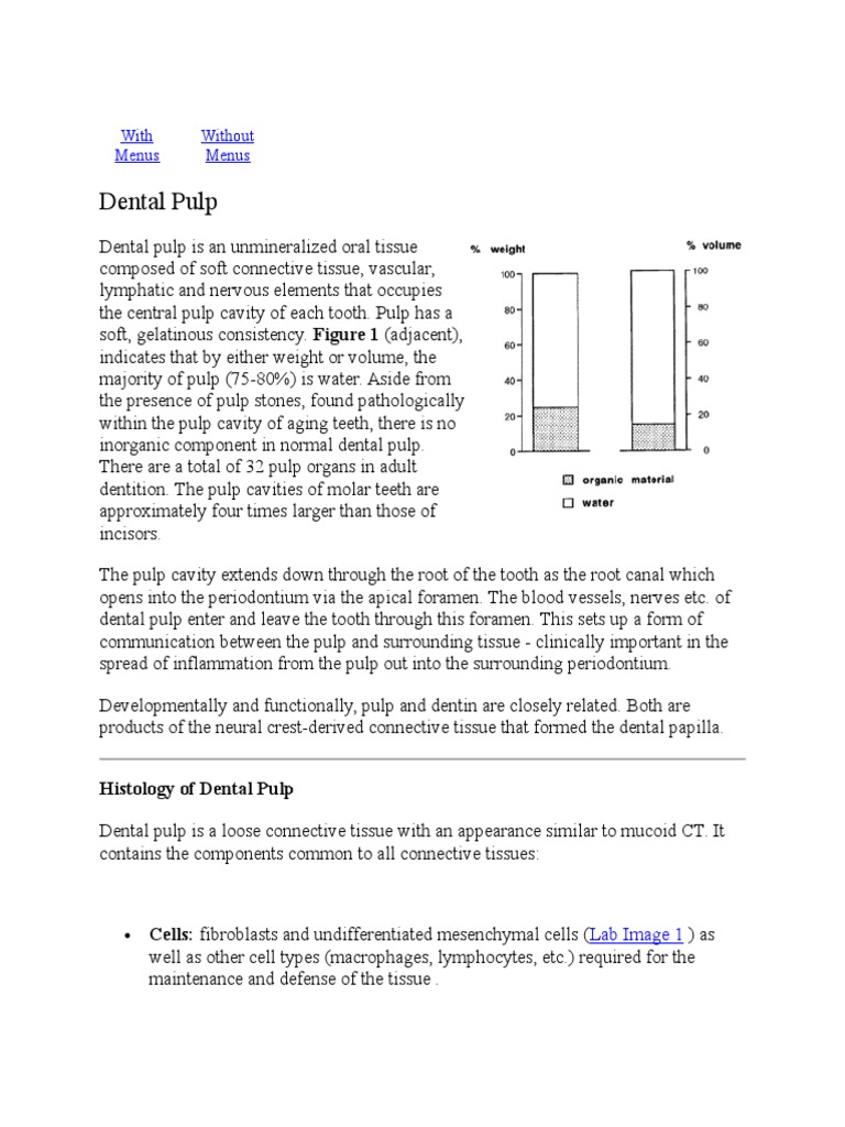 Dental Pulp: With Menus Without Menus | PDF | Dentin | Mouth