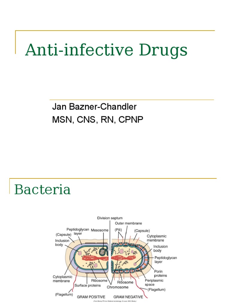 Anti-Infective Drugs Overview | PDF | Antibiotics | Antimicrobial ...
