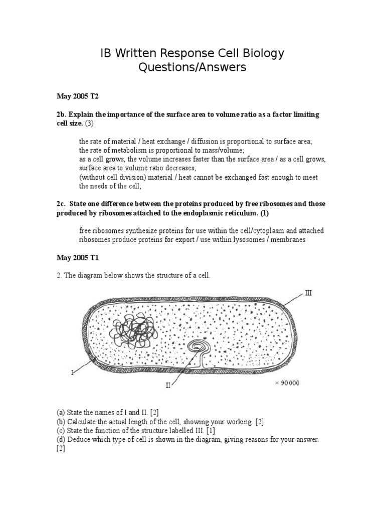 IB Written Response Cell Biology Answers | PDF | Cell (Biology) | Cell ...