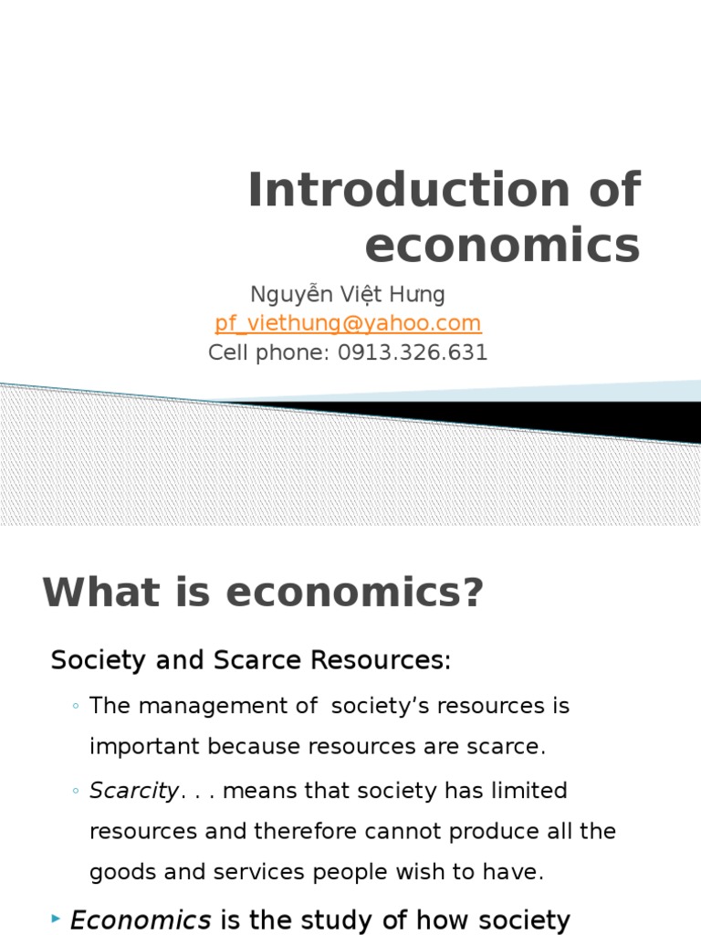 Introduction to Economics Concepts | PDF | Market Failure | Factors Of ...