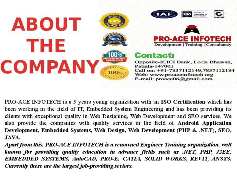 IT Services and Training by PRO-ACE INFOTECH | PDF