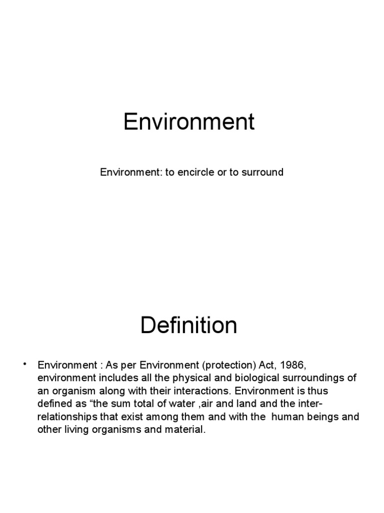 Environmental Science | PDF | Food Web | Ecosystem