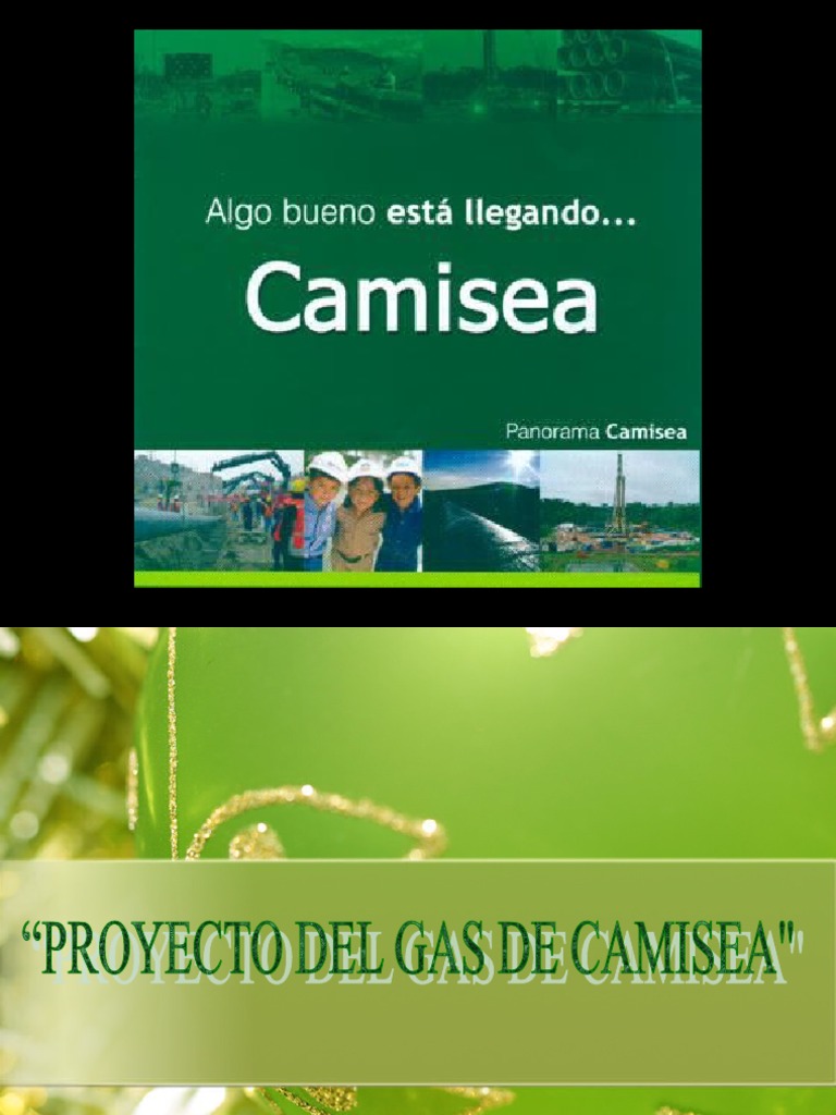 Proyecto Camisea: Gas Natural y Distribución | PDF | Economias ...