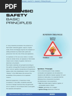 ATEX Rating Chart | PDF | Chemistry | Nature