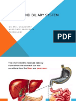 Hepatobiliary System-Anatomy & Physiology | PDF | Liver | Bile