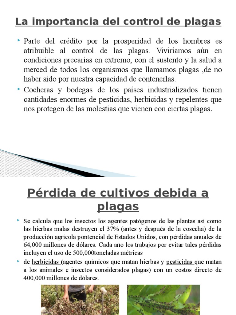 Presentación Control Genetico Control de Plagas | PDF | Plaga (organismo) | Insectos