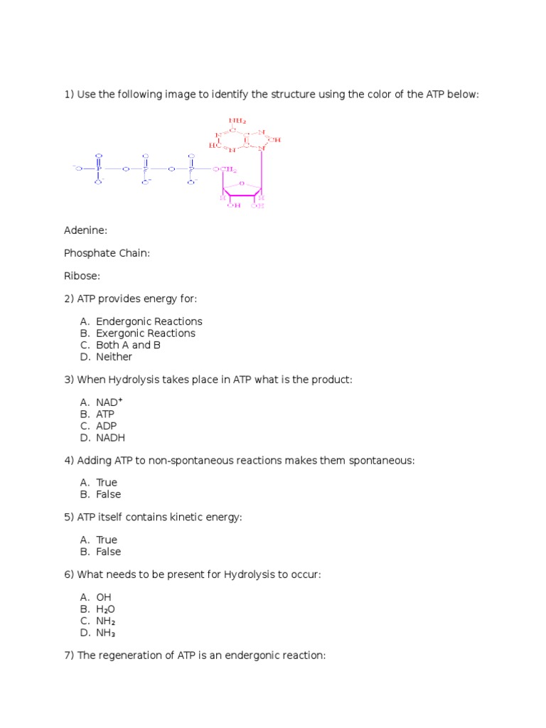 Atp Quiz | PDF | Science & Mathematics